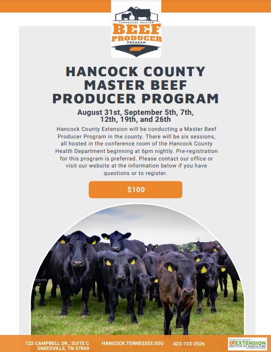 Beef Production | Hancock County